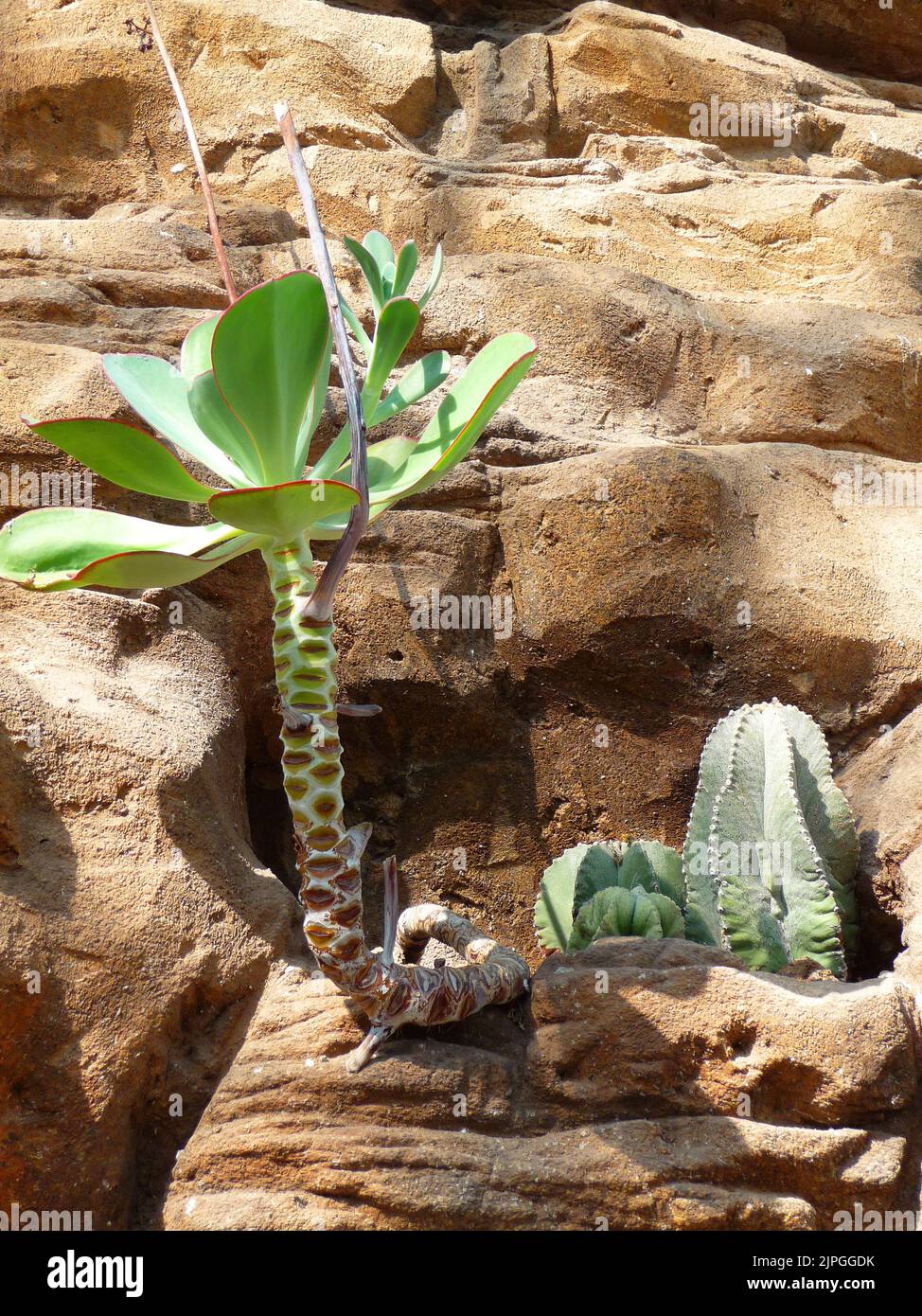 Stony rise hi-res stock photography and images - Alamy