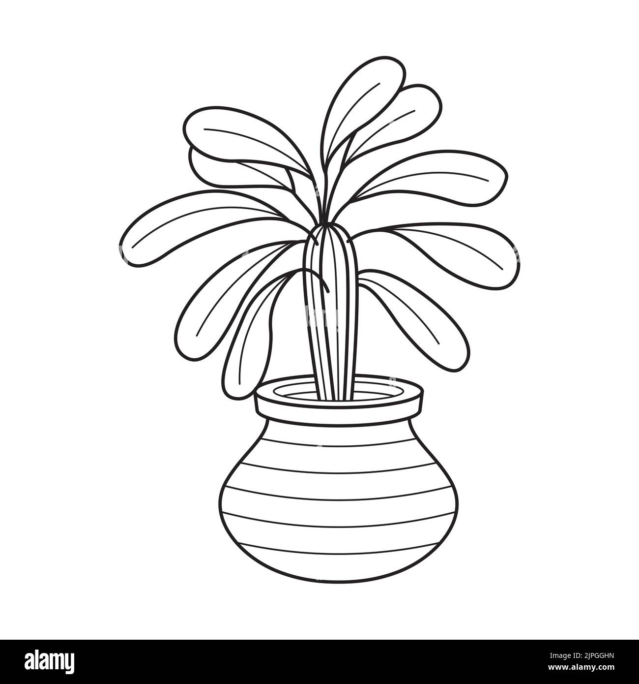 Simple house plant drawing hi-res stock photography and images - Alamy