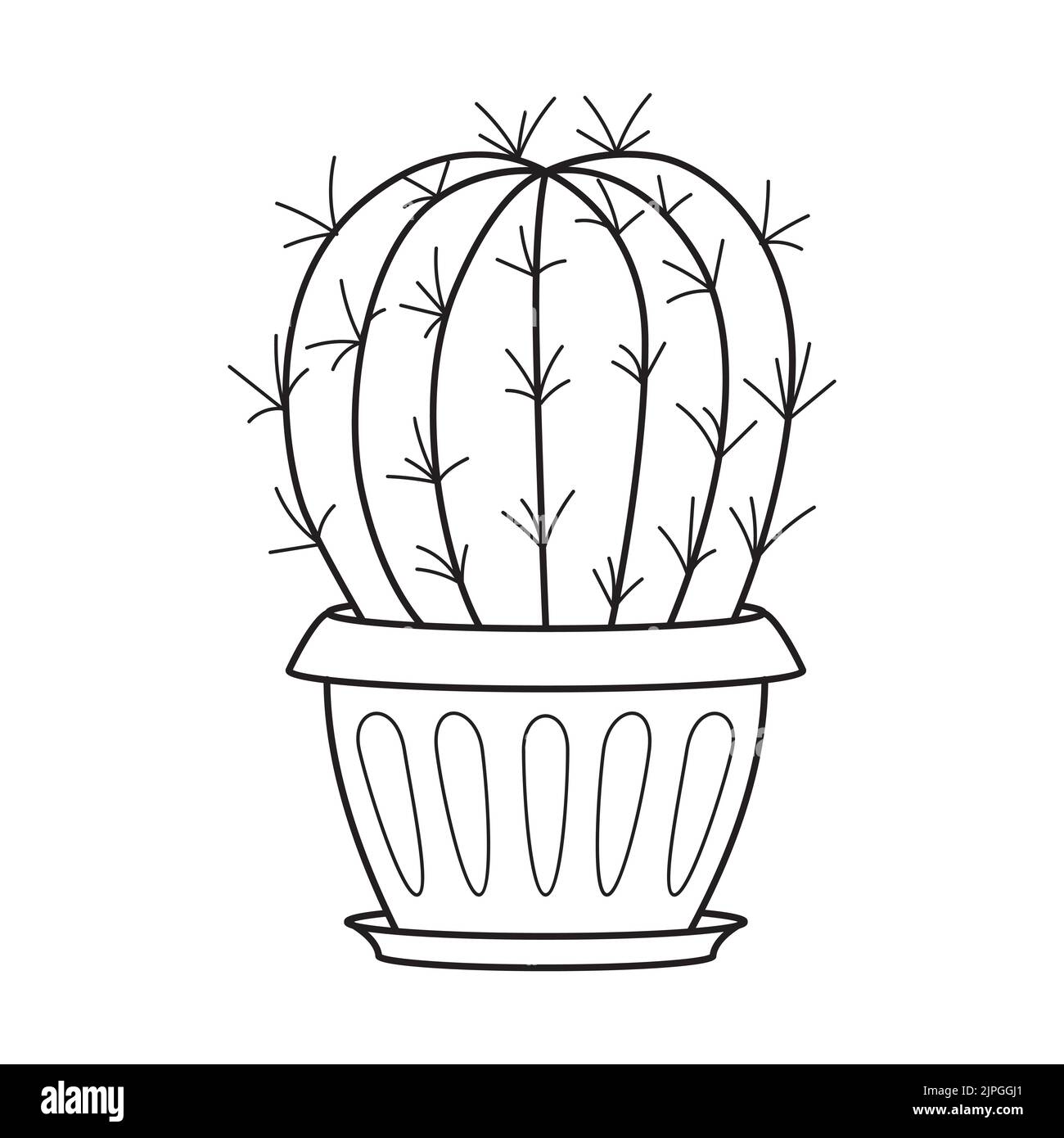 Vector outline cactus in pot. Indoor succulent plant with thorns. Cacti for home and interior ...