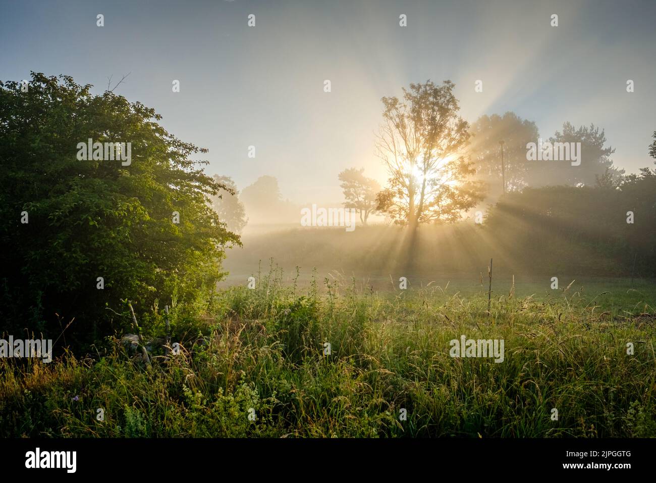 dawn twilight, field, sunbeams, haze, dawns, fields, sun beams, sun ray ...