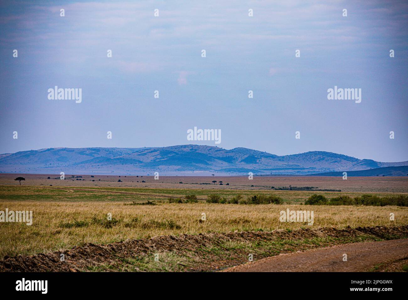 Maasai Mara National Game Reserve Park triangle Narok County Kenya East ...