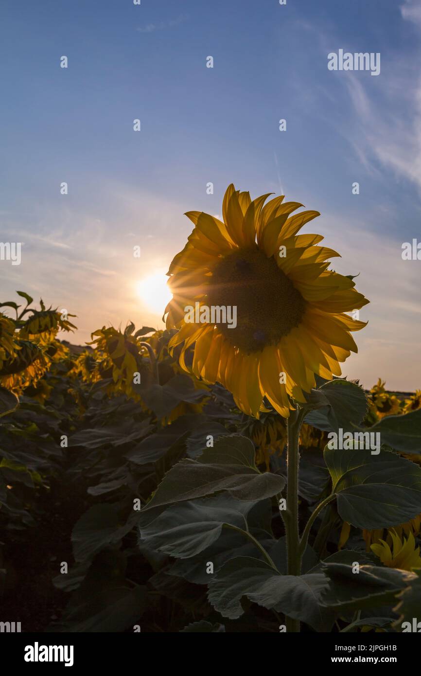 Sundowner trail hi-res stock photography and images - Alamy