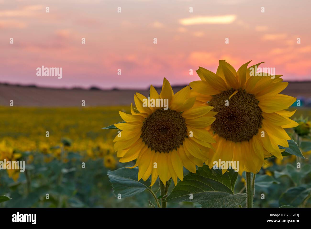 Sundowner trail hi-res stock photography and images - Alamy