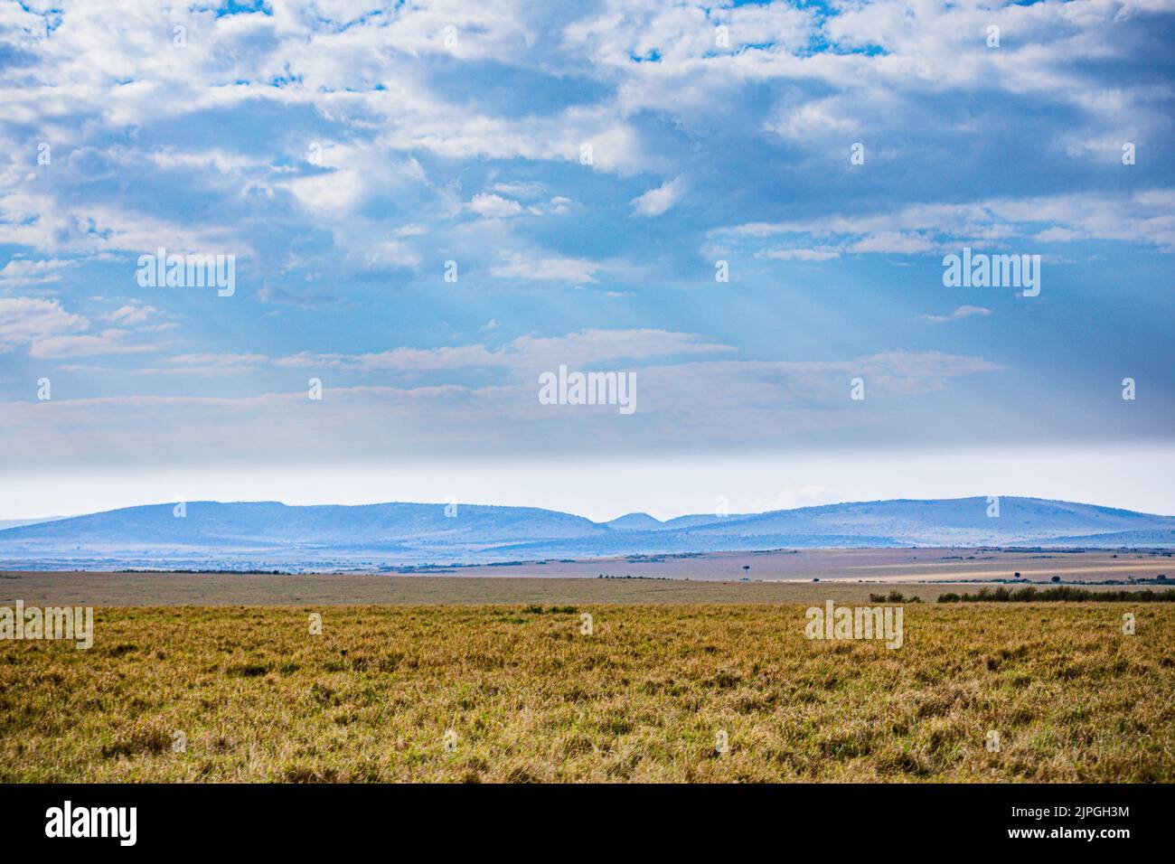 Maasai Mara National Game Reserve Park triangle Narok County Kenya East ...