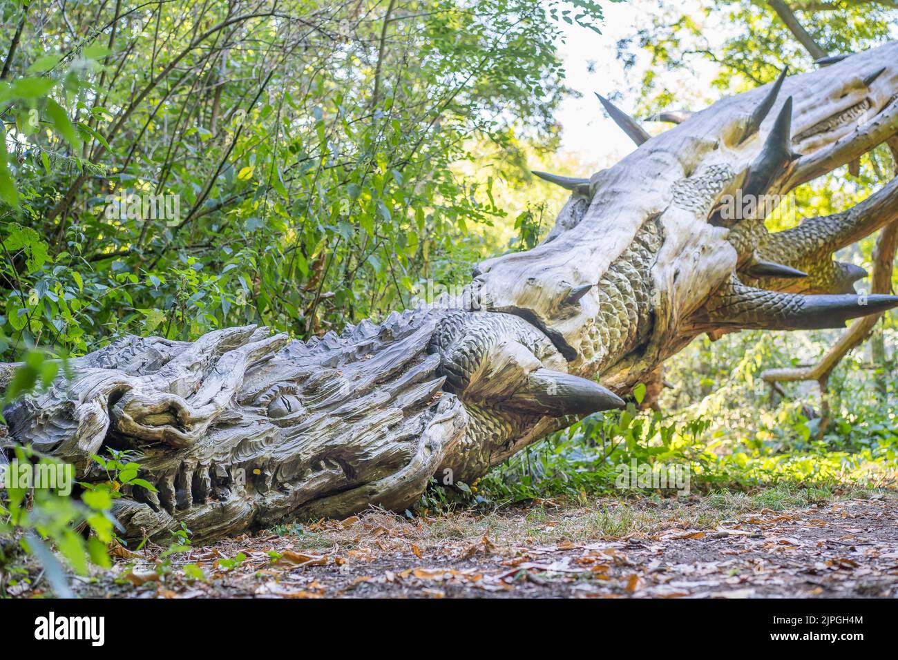 Large dragon creature carved from fallen tree Stock Photo - Alamy