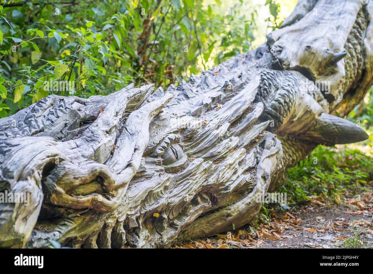 Large dragon creature carved from fallen tree Stock Photo - Alamy