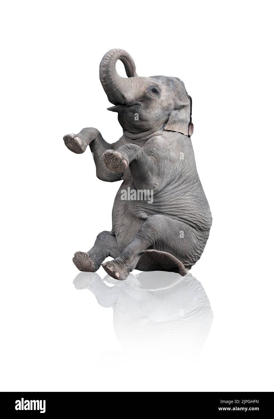 Piece of art hi-res stock photography and images - Alamy