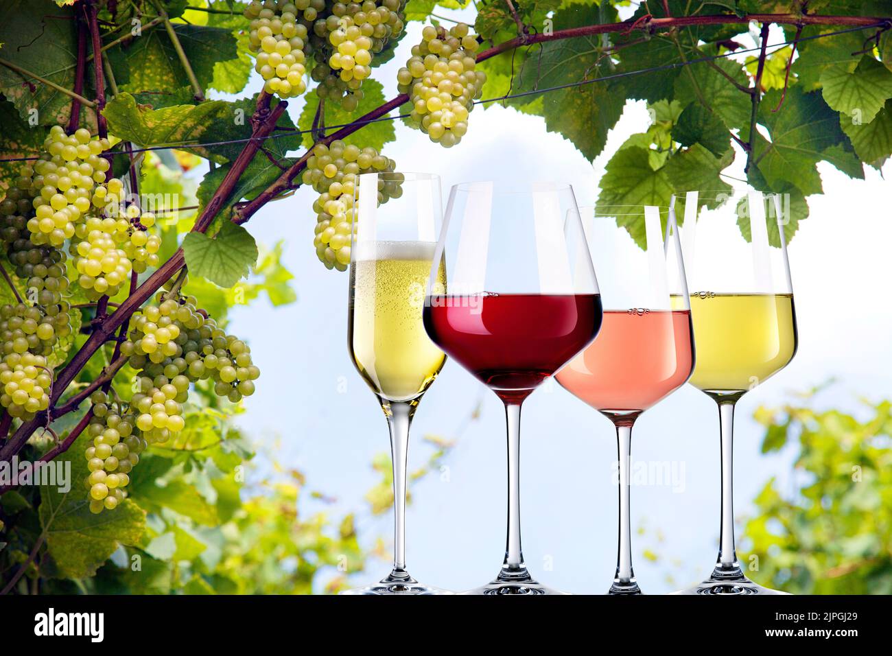 alcohol, wine, alcohols, wines Stock Photo - Alamy