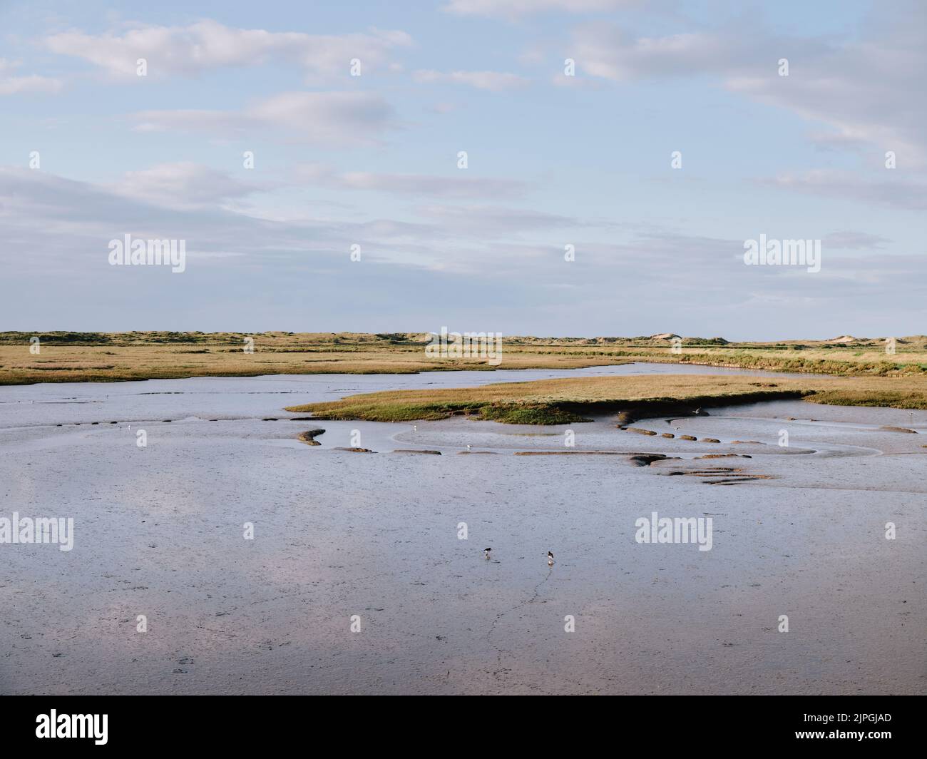 Burnham Overy summer marsh low tide mud flats landscape of the North ...