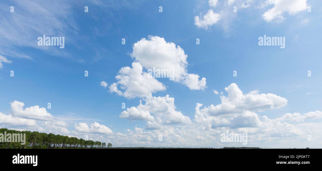 Blue sky with cumulus clouds background for sky replacement Stock Photo ...