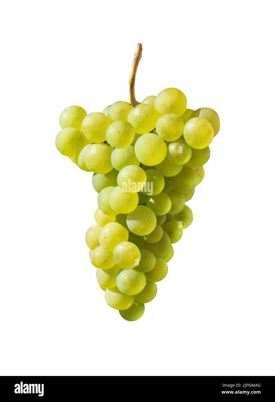 grape, white grape, grapes, white grapes Stock Photo - Alamy