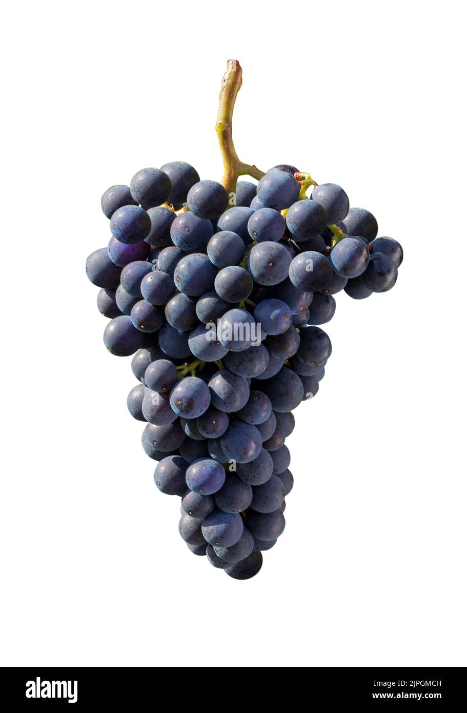 grape, red grapes, grapes, red grape Stock Photo - Alamy