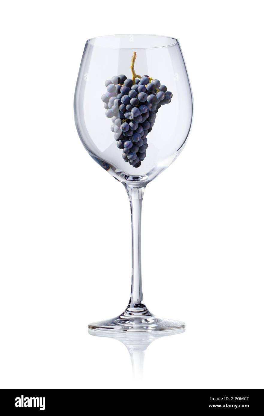 wine glass, grape, red wine, glas ware, grapes, red wines Stock Photo ...
