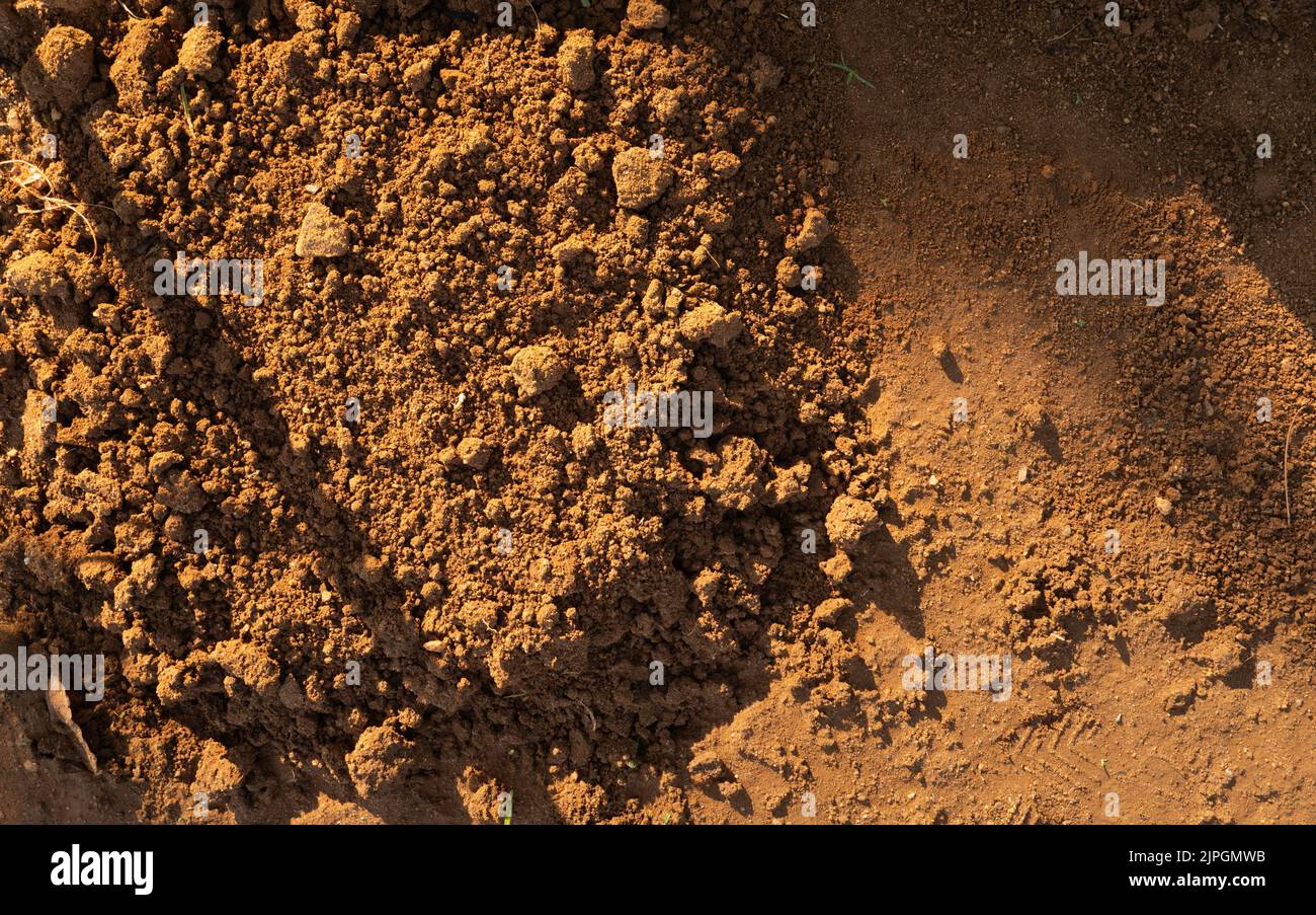 Close-up of Soil Background in Agriculture Lan Stock Photo - Alamy