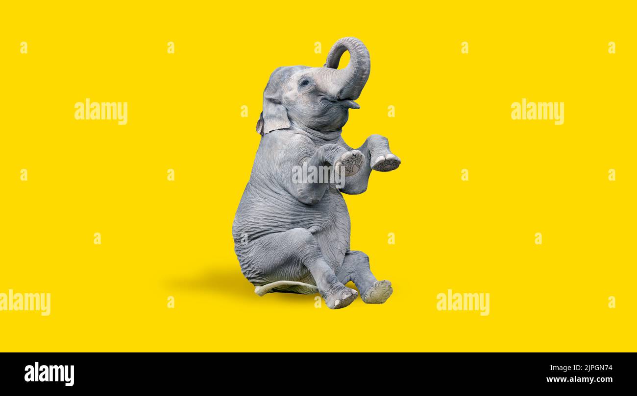 elephant, art piece, circus, elephants, art pieces Stock Photo - Alamy