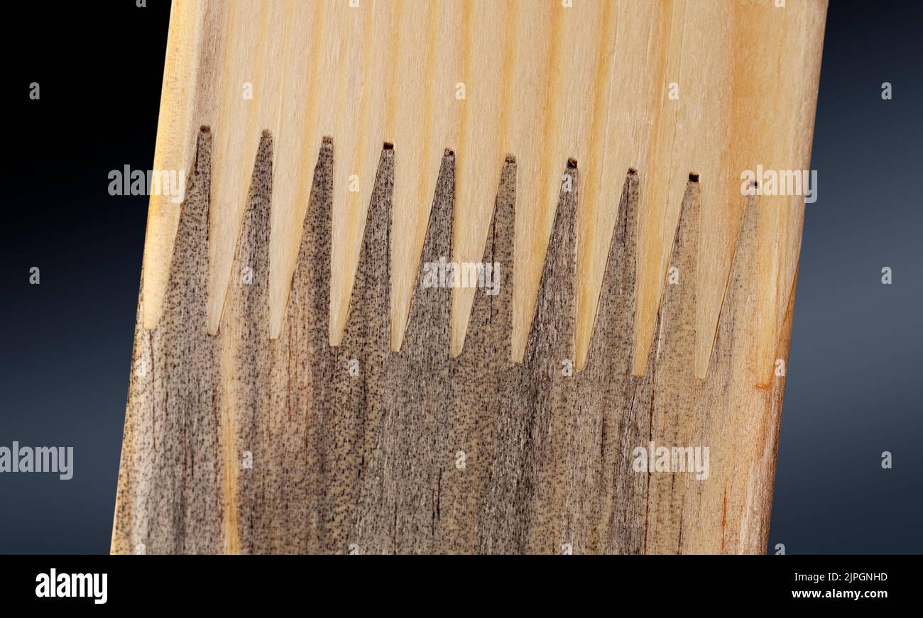 wood, connection, pine cone, woodland, woodlands, woods, connect ...