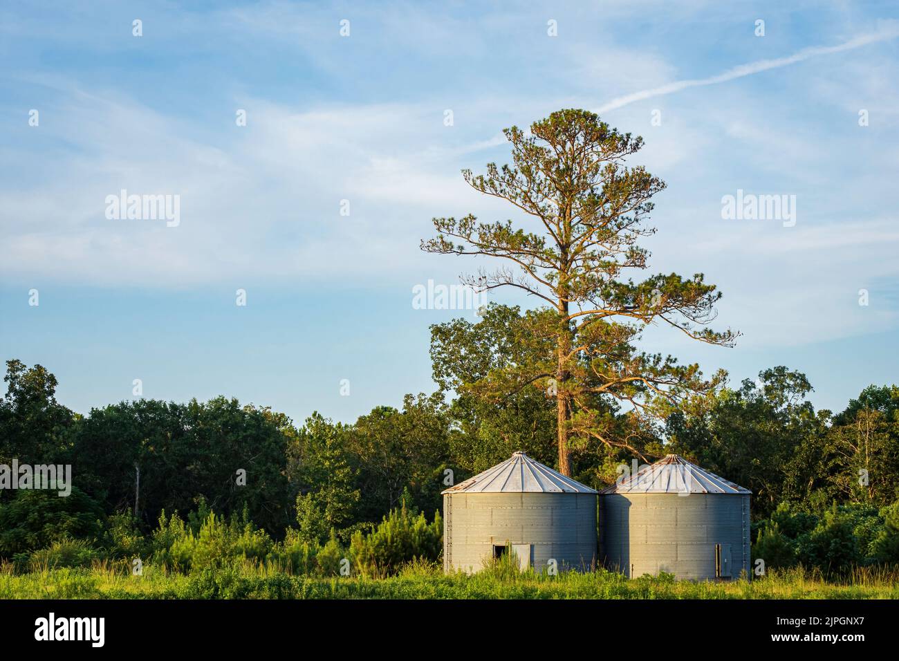 Two grain bins on the edge of a field during golden hour with negative ...