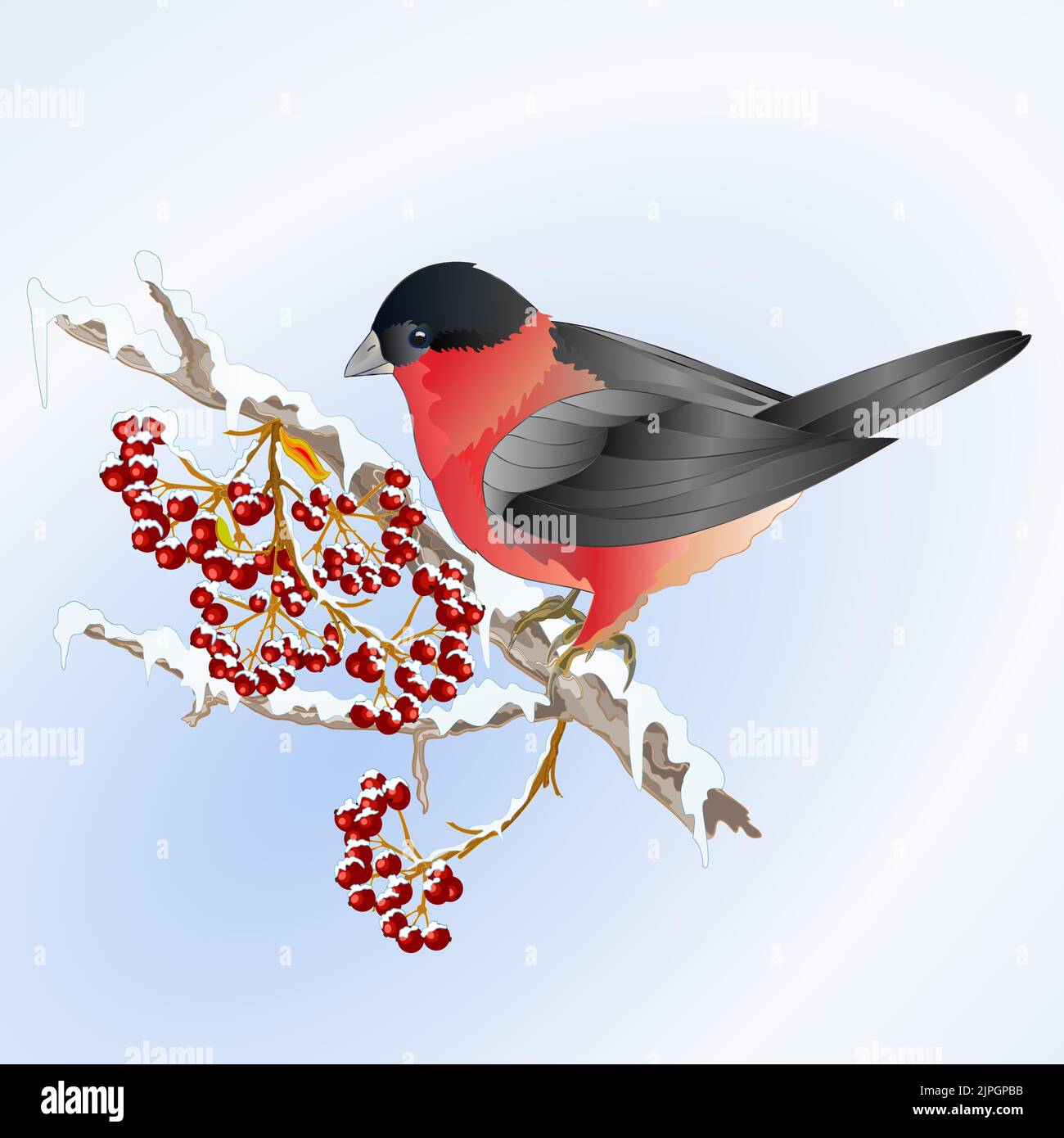 Songbirdon hi-res stock photography and images - Alamy