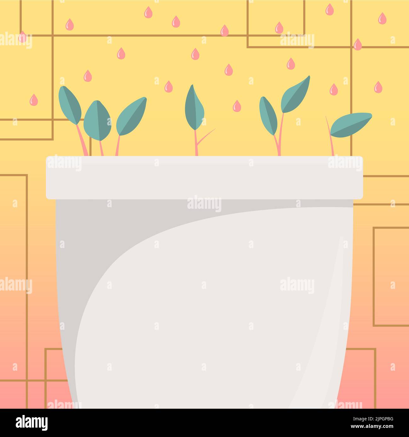 Flower Vase With Herbs Watered By Drops From Top. Liquid Being Poured ...