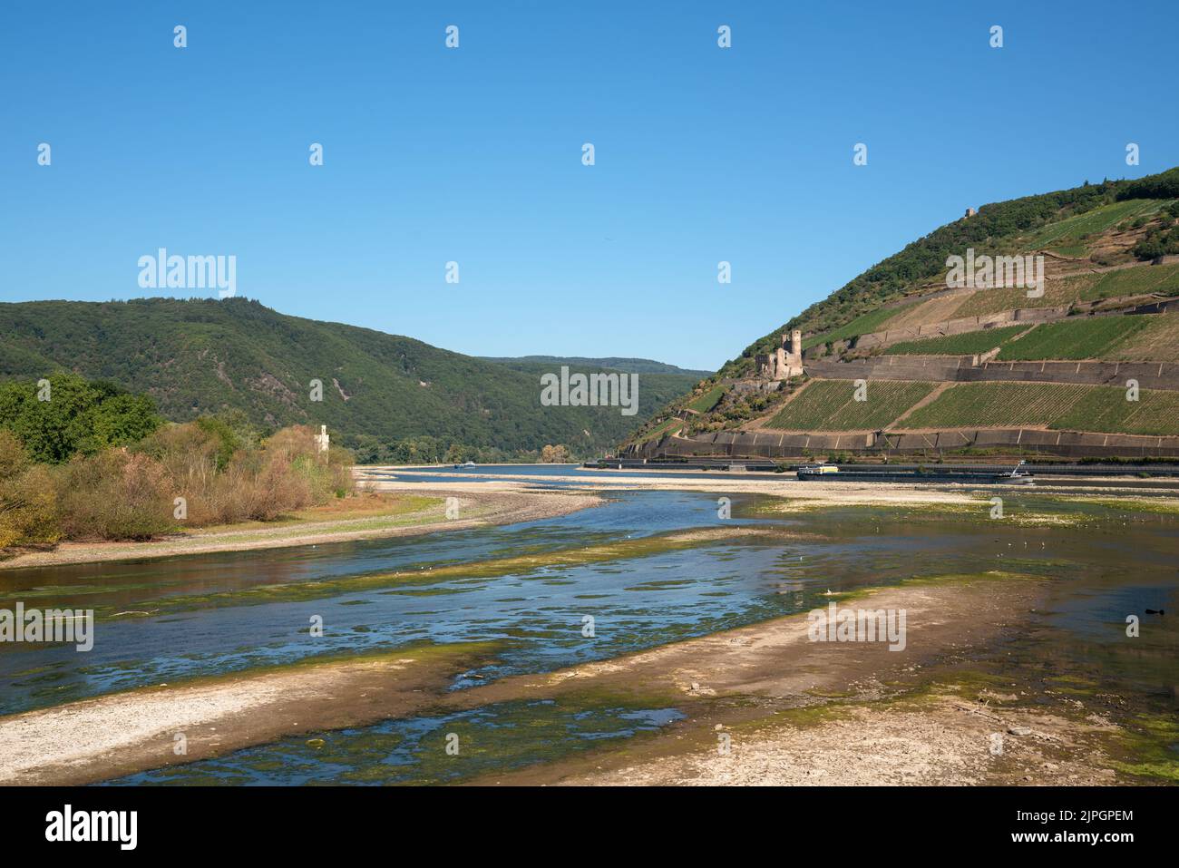 BINGEN, GERMANY - AUGUST 13, 2022: Drought in Germany, low water on ...