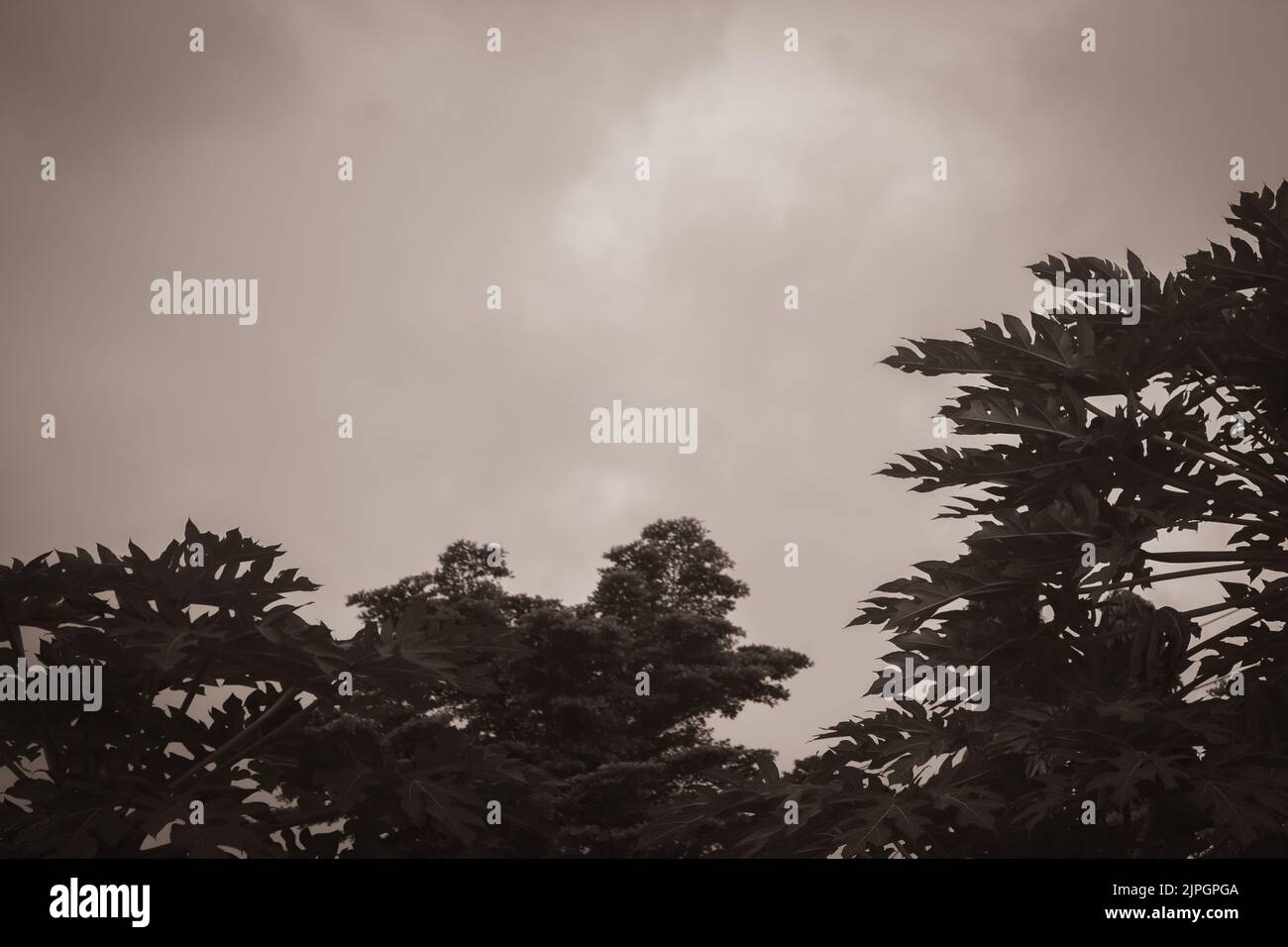 Morning pictures hi-res stock photography and images - Alamy