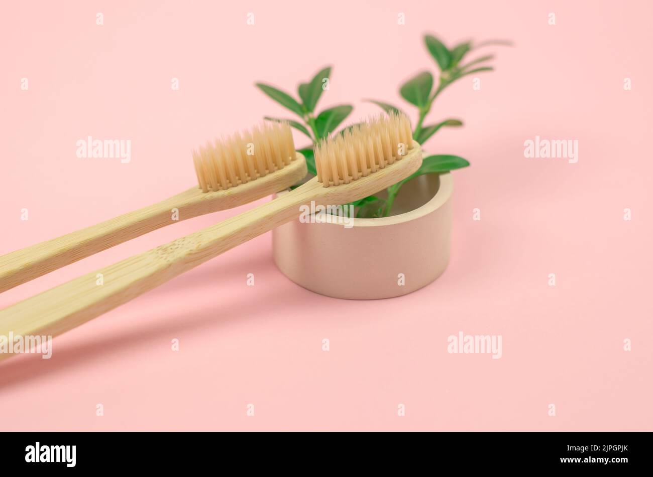 Oral cavity care. Two wooden toothbrushes and green leaves on a round ...