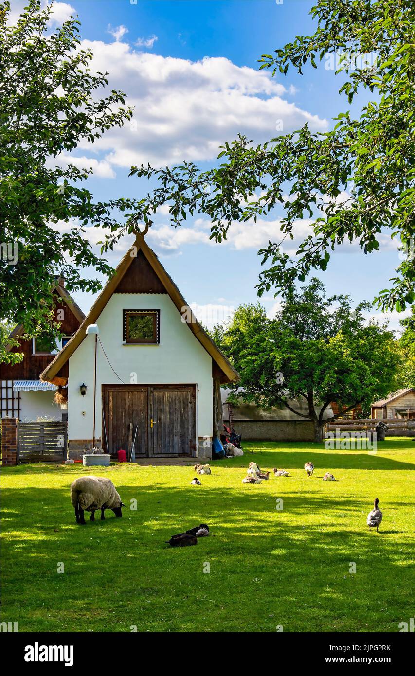 Breeding range hi-res stock photography and images - Alamy