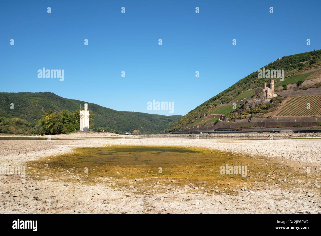 BINGEN, GERMANY - AUGUST 13, 2022: Drought in Germany, low water on ...