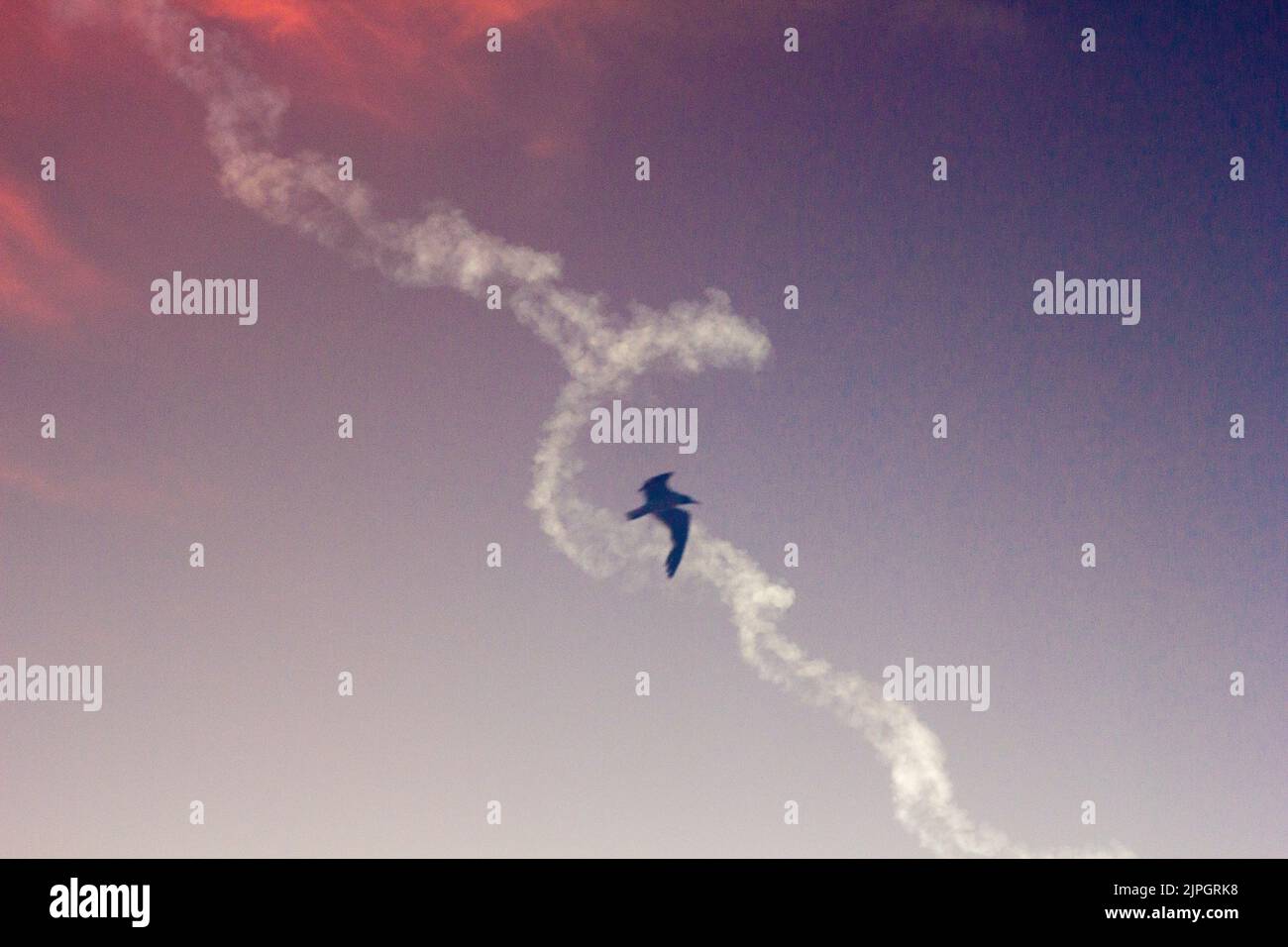 Morning Rocket Launch, August 4, 2022 Cape Canaveral, Florida Stock ...