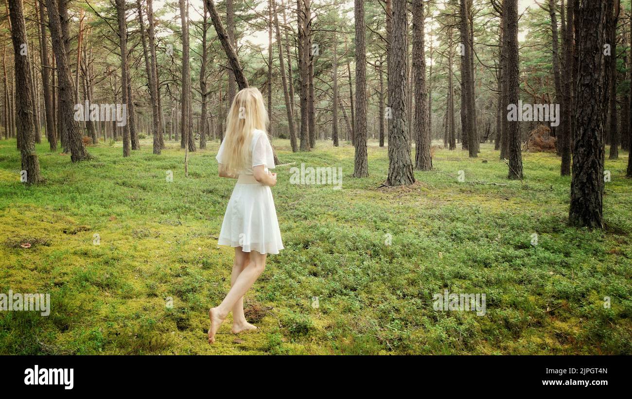 Young blonde woman in white dress walking barefoot through a lush pine forest on mossy ground ...