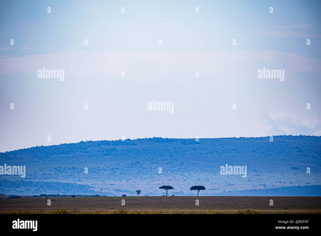 Maasai Mara National Game Reserve Park triangle Narok County Kenya East ...