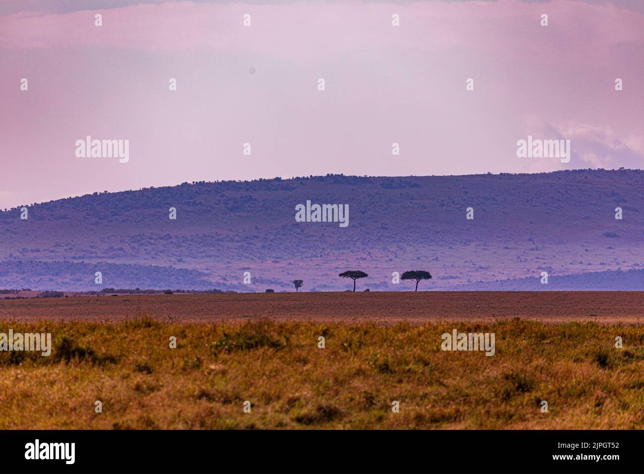 Maasai Mara National Game Reserve Park triangle Narok County Kenya East ...