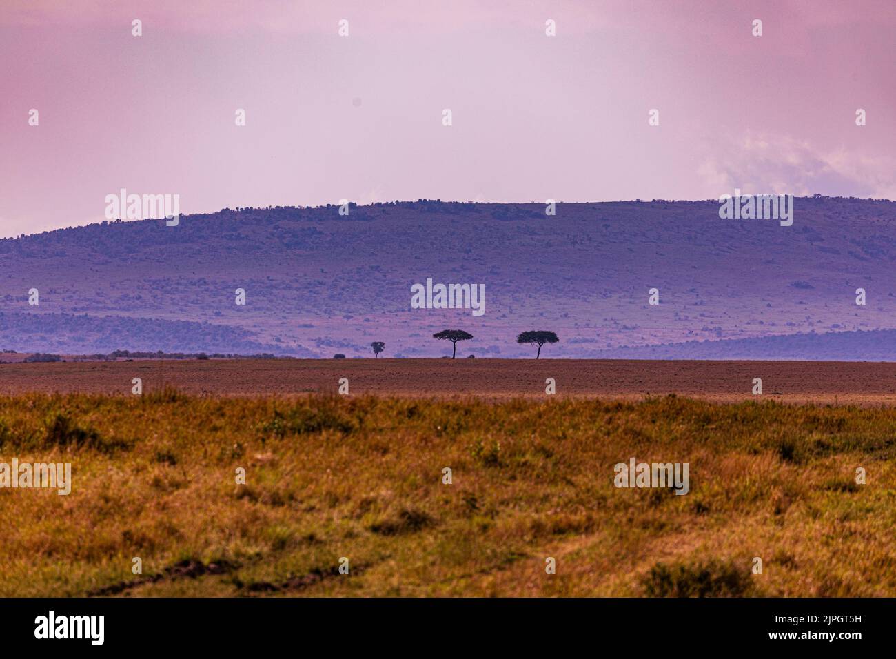 Maasai Mara National Game Reserve Park triangle Narok County Kenya East ...