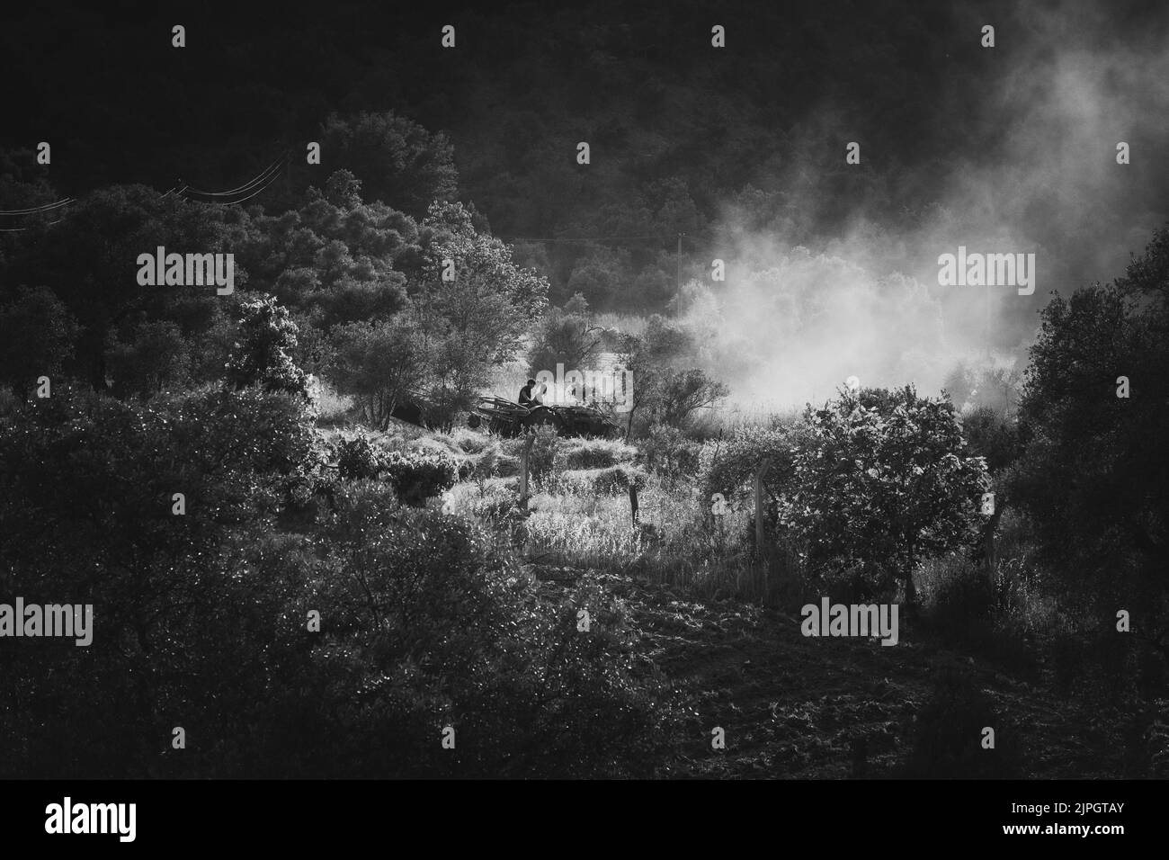 field workers and back view between mountains Stock Photo - Alamy