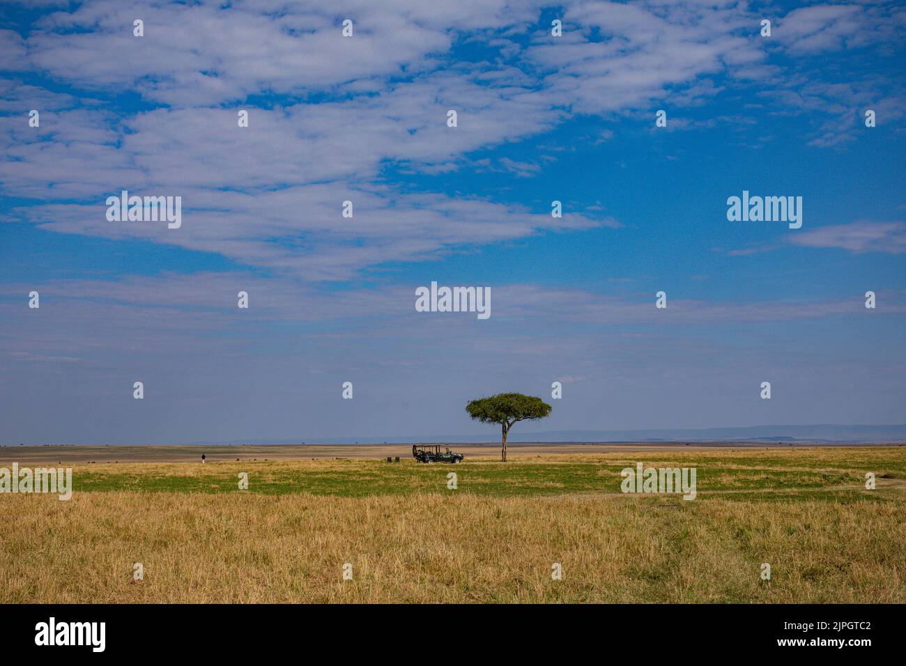 Maasai Mara National Game Reserve Park triangle Narok County Kenya East ...