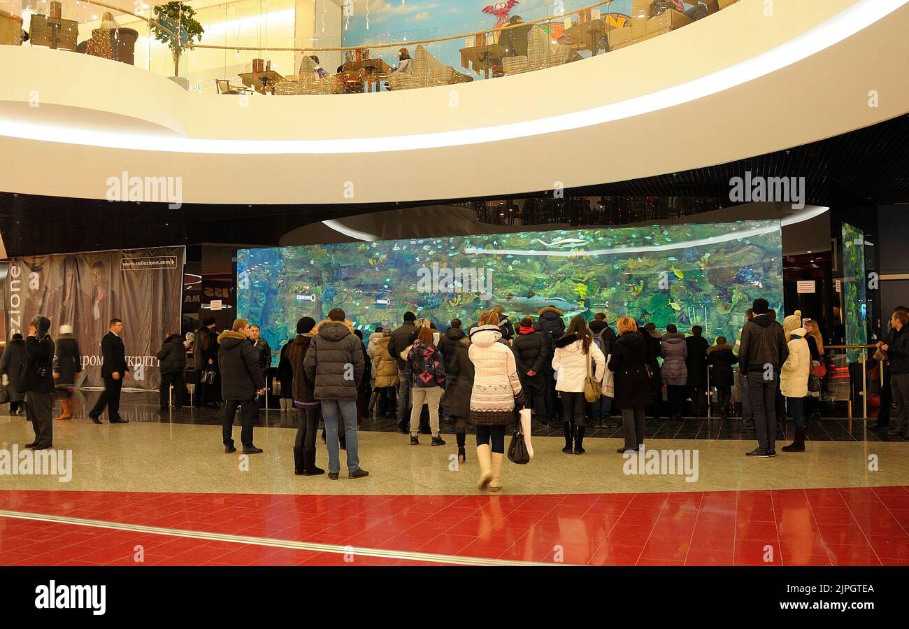 Crowd of people visitors gathered looking at the aquarium with fishes ...