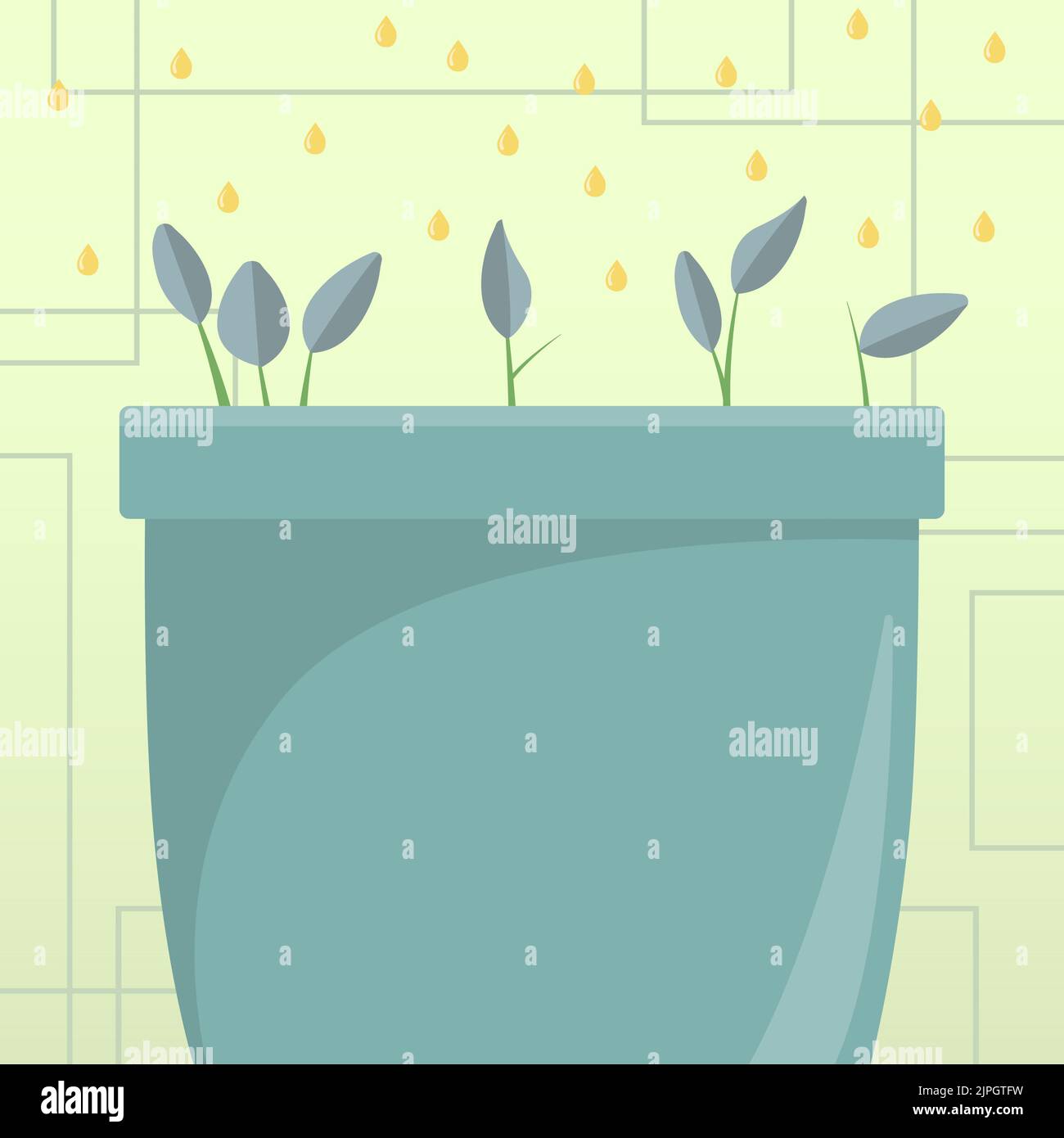 Flower Vase With Herbs Watered By Drops From Top. Liquid Being Poured ...