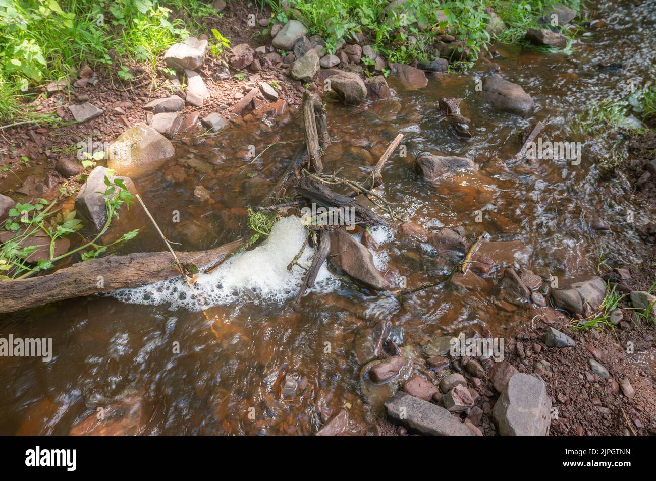 A small tributary filled with farm eflluent producing brown ...