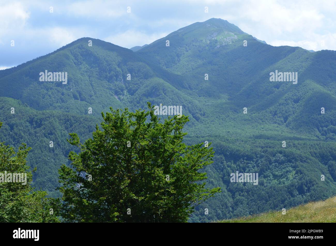 Parco Nazionale dell'Appennino Tosco-Emiliano, a lushly forested and ...