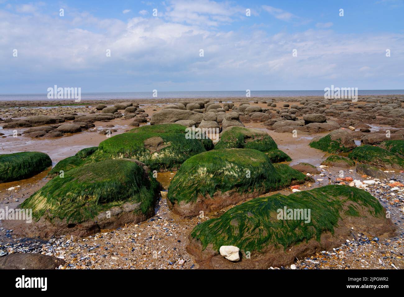 Low tide reveals seaweed covered rocks on Hunstanton beach Stock Photo ...