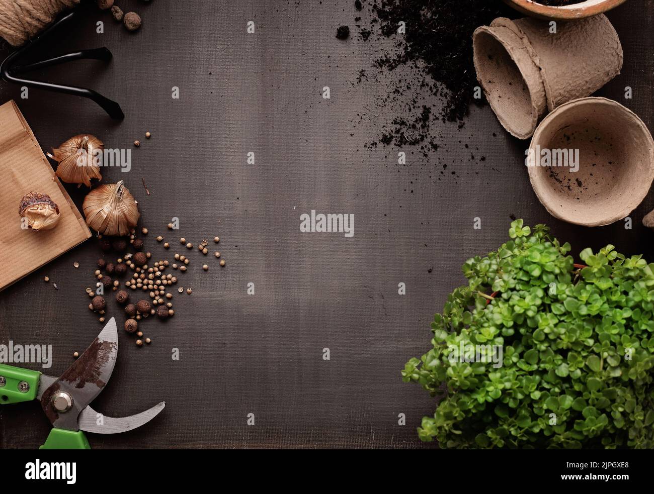 gardening, planting, sow, plant care, tending of plants, grafting, crob ...