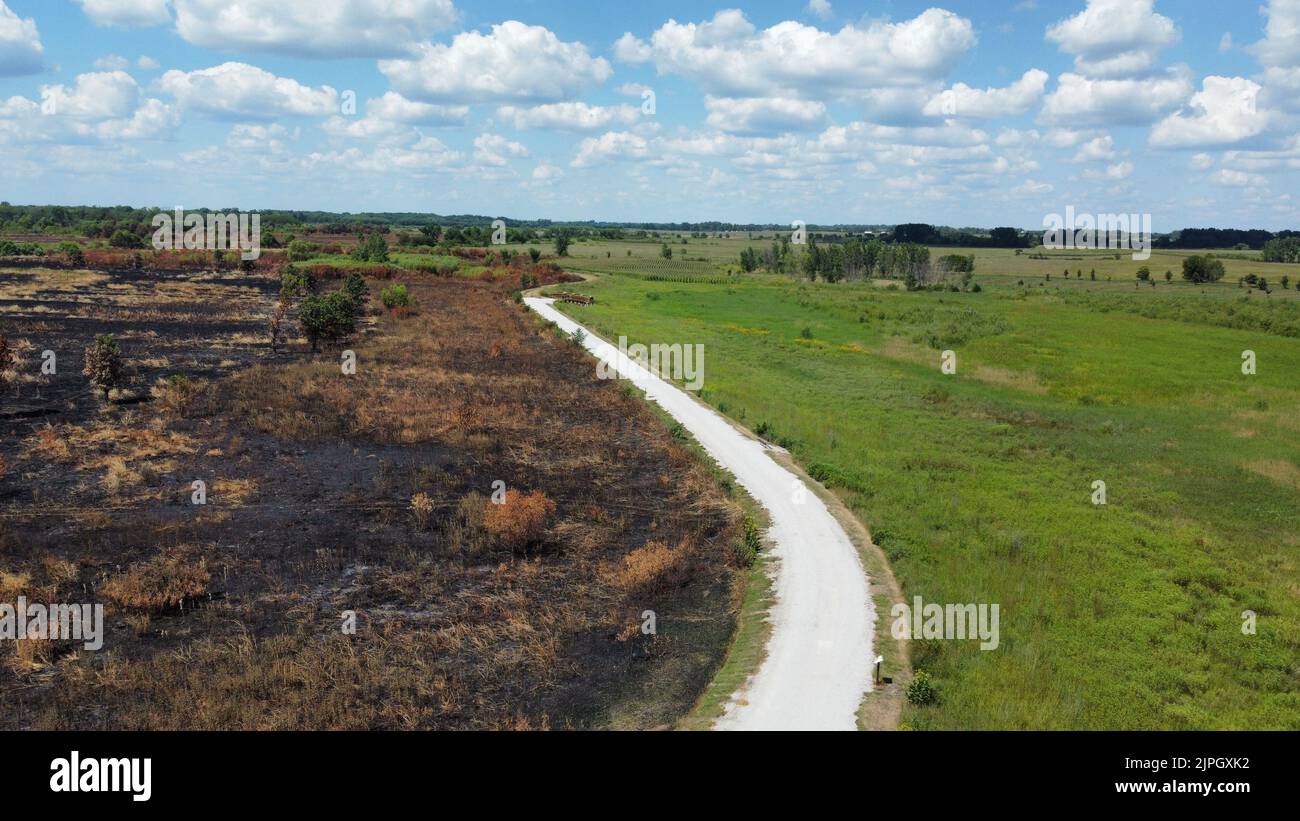 Burnt plants hi-res stock photography and images - Alamy