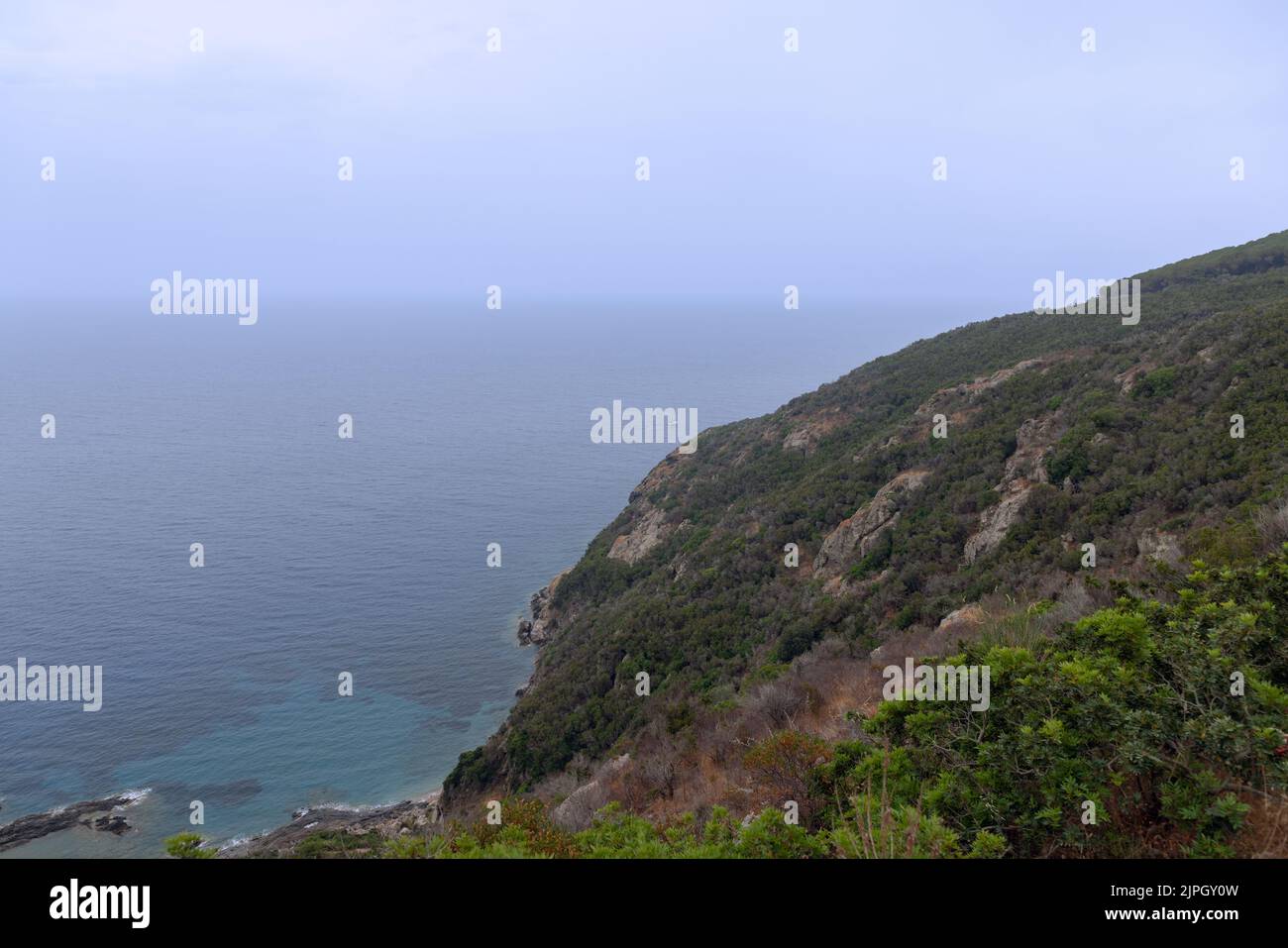 Mediterranean oak forests hi-res stock photography and images - Alamy