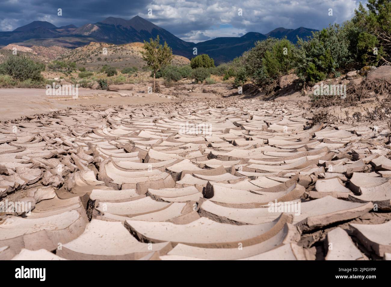 Cracked mud in a dry wash after post-burn flash flooding after ...
