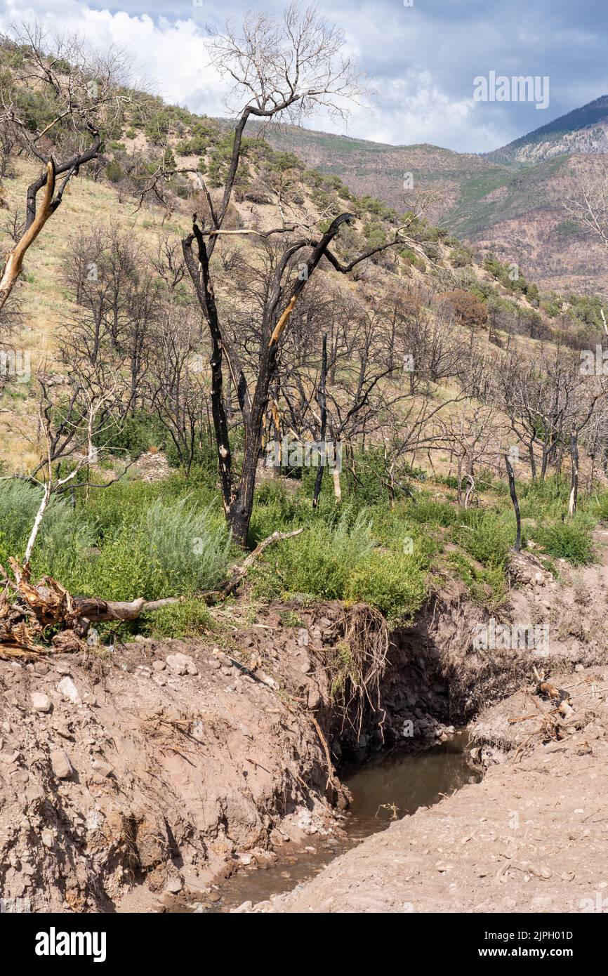 Water erosion before and after hi-res stock photography and images - Alamy