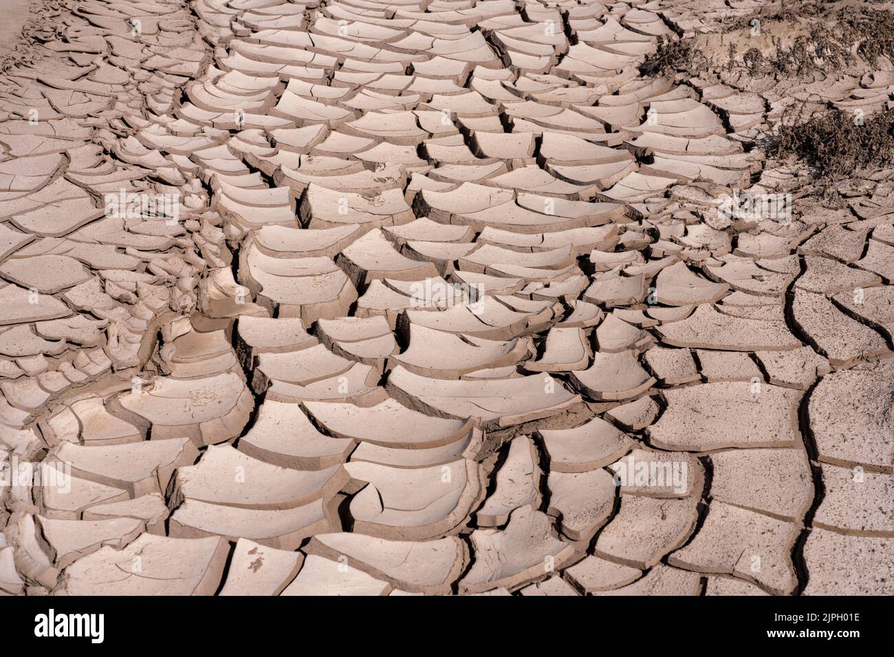Cracked mud in a dry wash after post-burn flash flooding after ...
