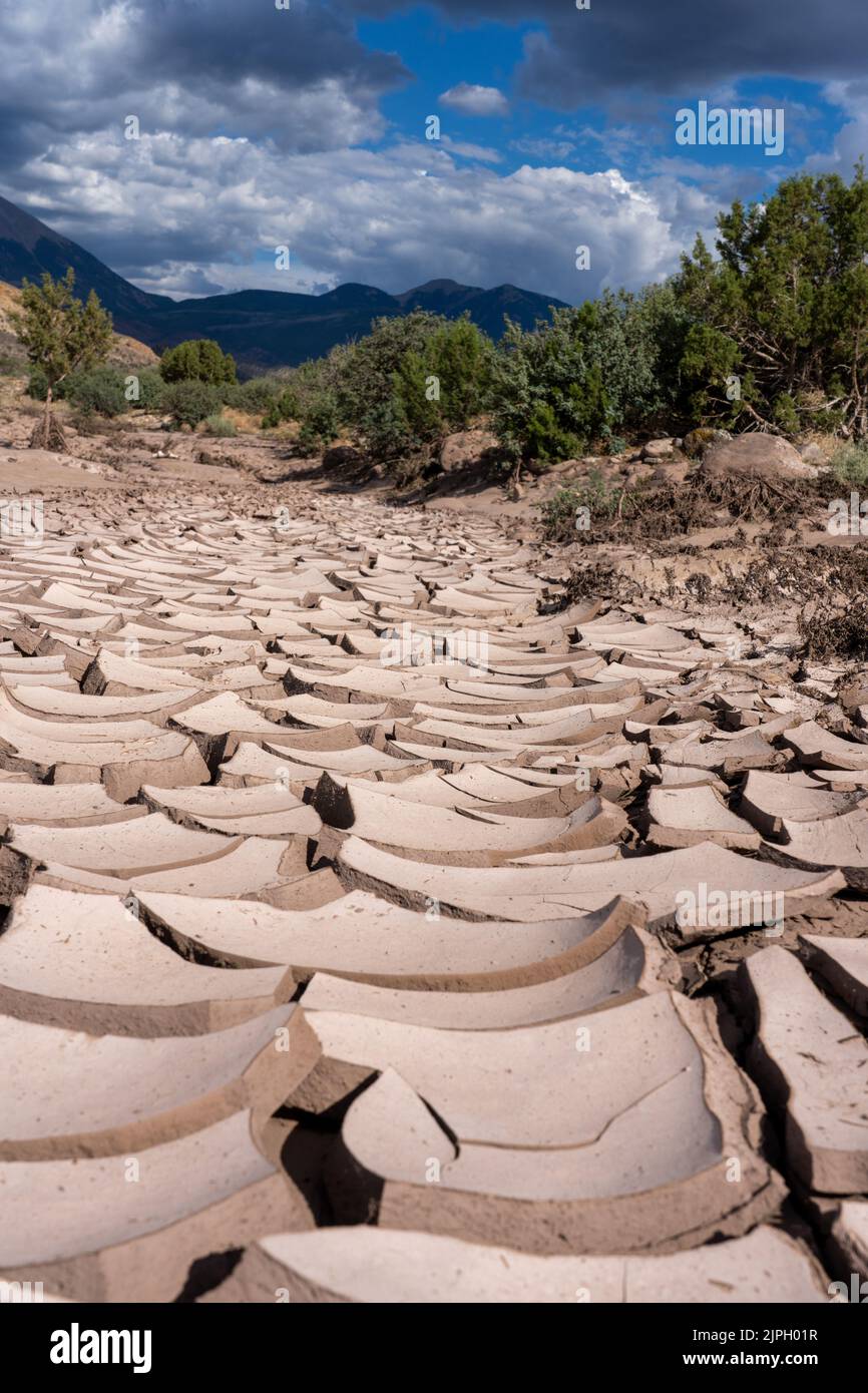 Cracked mud in a dry wash after post-burn flash flooding after ...