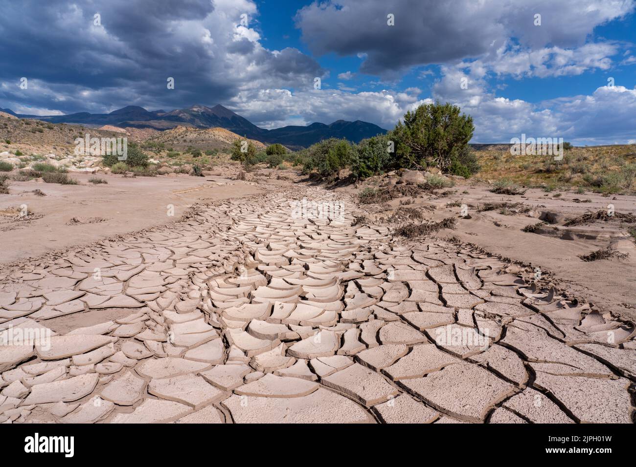 Cracked mud in a dry wash after post-burn flash flooding after ...