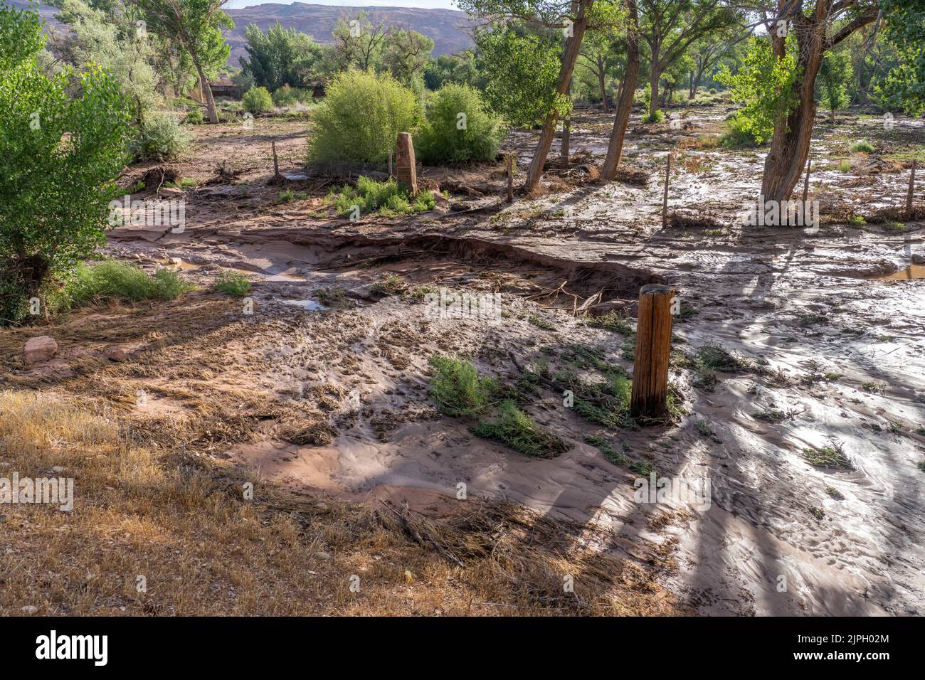 Severe erosion damage caused by flash flooding after vegetation loss ...