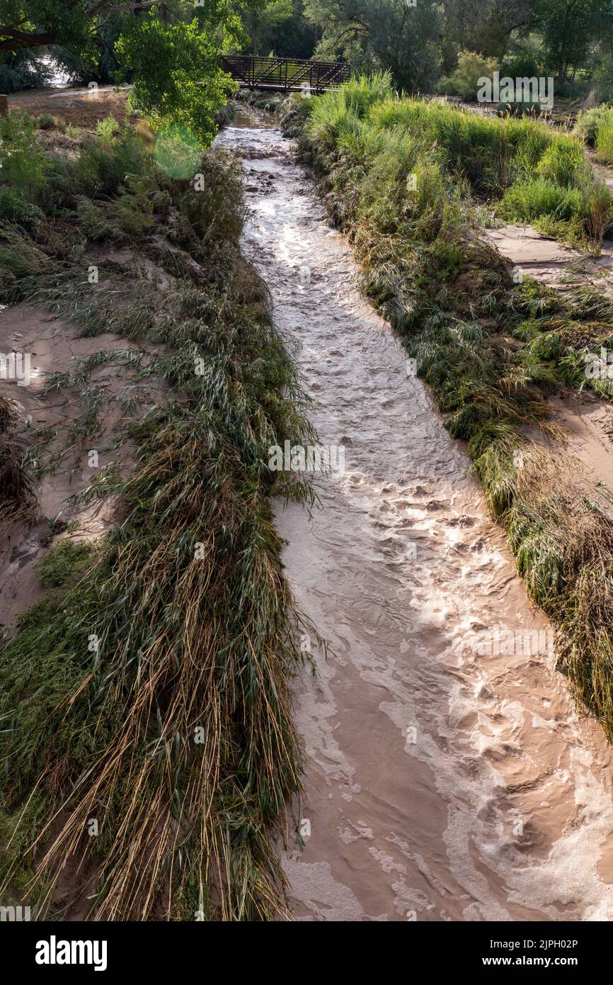 Damage caused by flash flooding after vegetation loss upstream after a ...